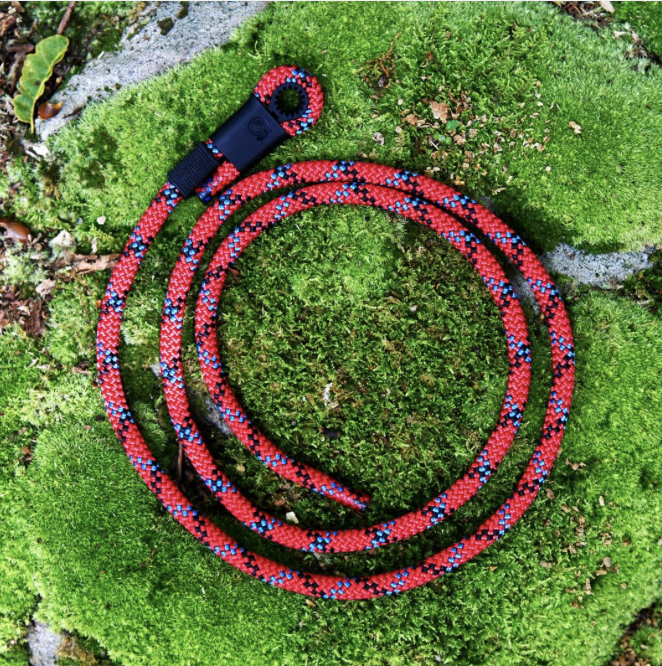 On a Scale of One to Ten, Lizard Tail Belts Are an Eleven - Morgantown ...